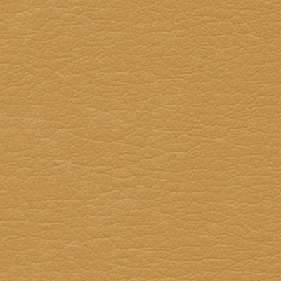 Cashew - LuxorLeather Soft Touch – Gilbreath Upholstery