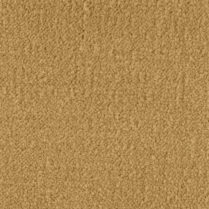 Tuscan Sun - Color Study 30 – Gilbreath Upholstery