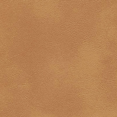 Buckskin - Sierra Series Vinyl – Gilbreath Upholstery